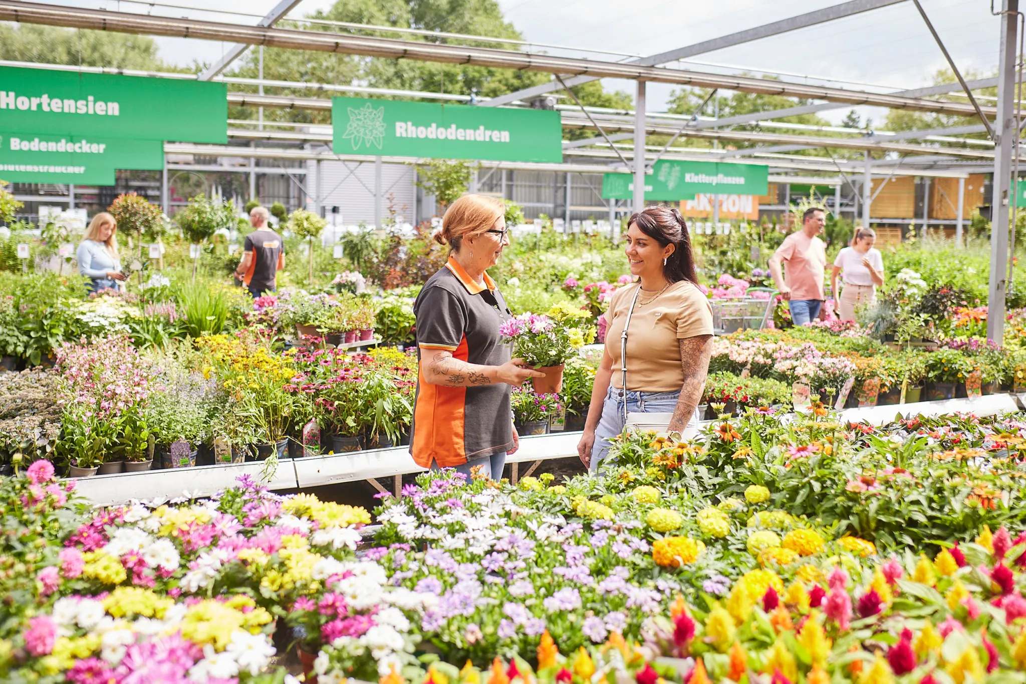 Schne Anhnger Vom Baumarkt Bild