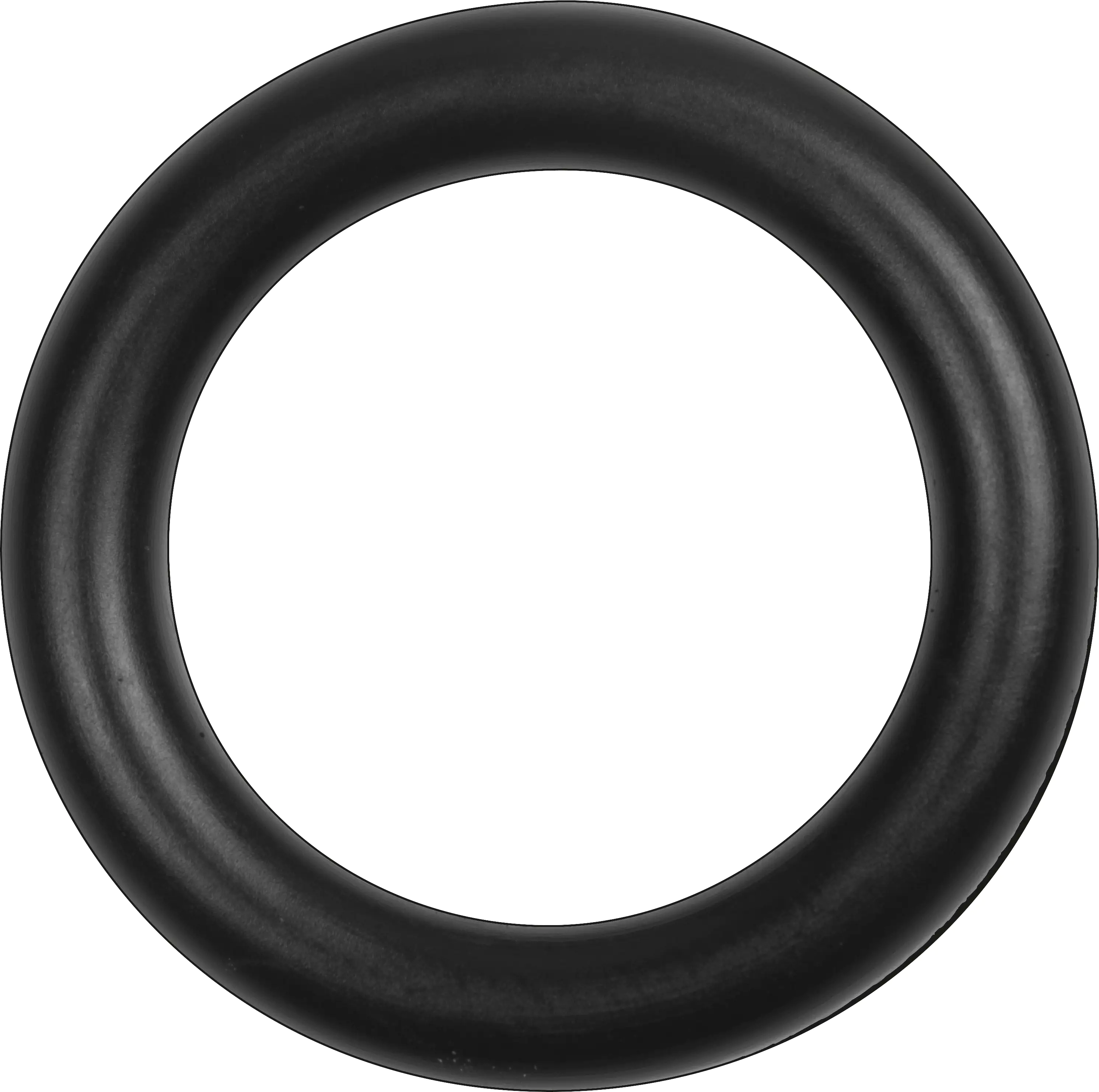 Cornat O-Ring Dichtung 25 mm, 10 Stück kaufen | Globus Baumarkt