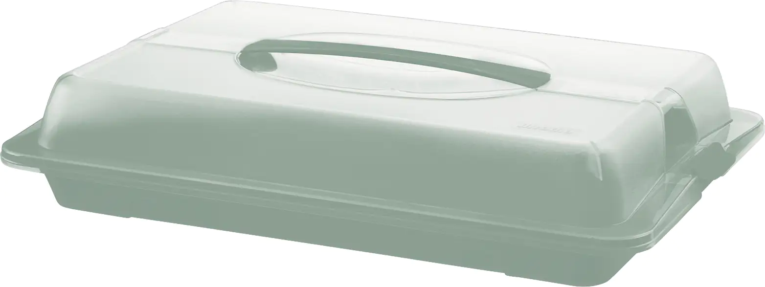 Rotho Partybutler JOHN medium mistletoe grün kaufen | Globus Baumarkt