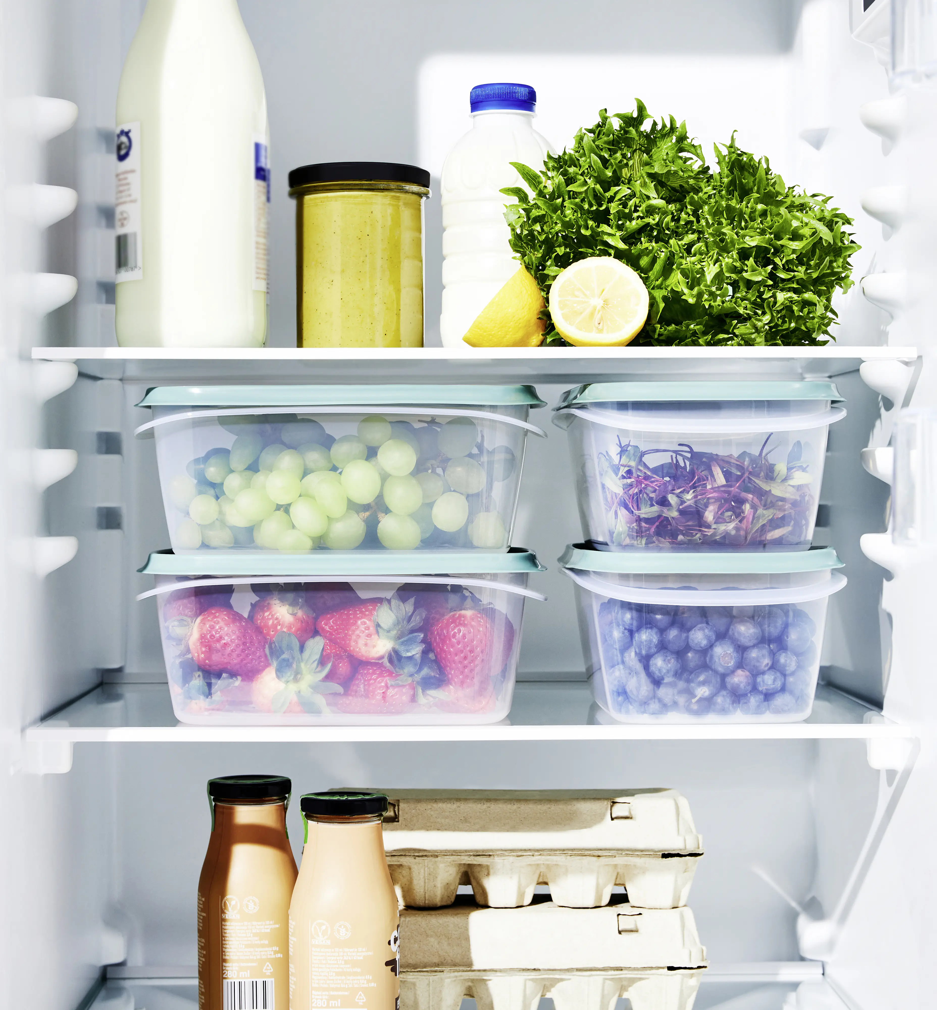 Rotho Kühlschrankdose Elements 2 L transparent kaufen | Globus Baumarkt