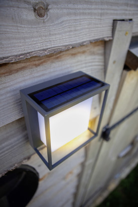 Lutec LED Außenleuchte Solar Curtis 3 W 19 x 16,5 cm Bewegungsmelder ...