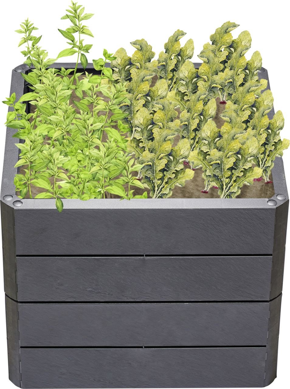 15 Hochbeet-Ideen, die deinen Garten revolutionieren! 🌱🔥 - Jens Garten