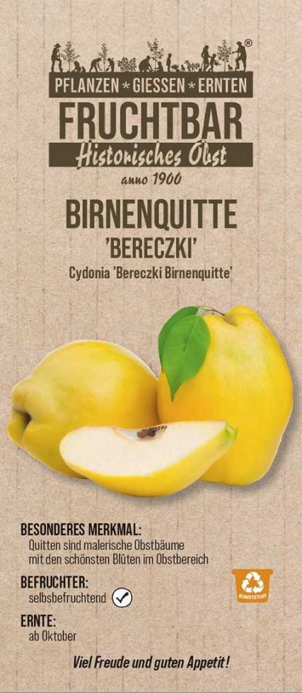 Historische Bio Obstbäume Quitte 'Bereczki Birnenquitte' C10 BIO PLUS+ ...