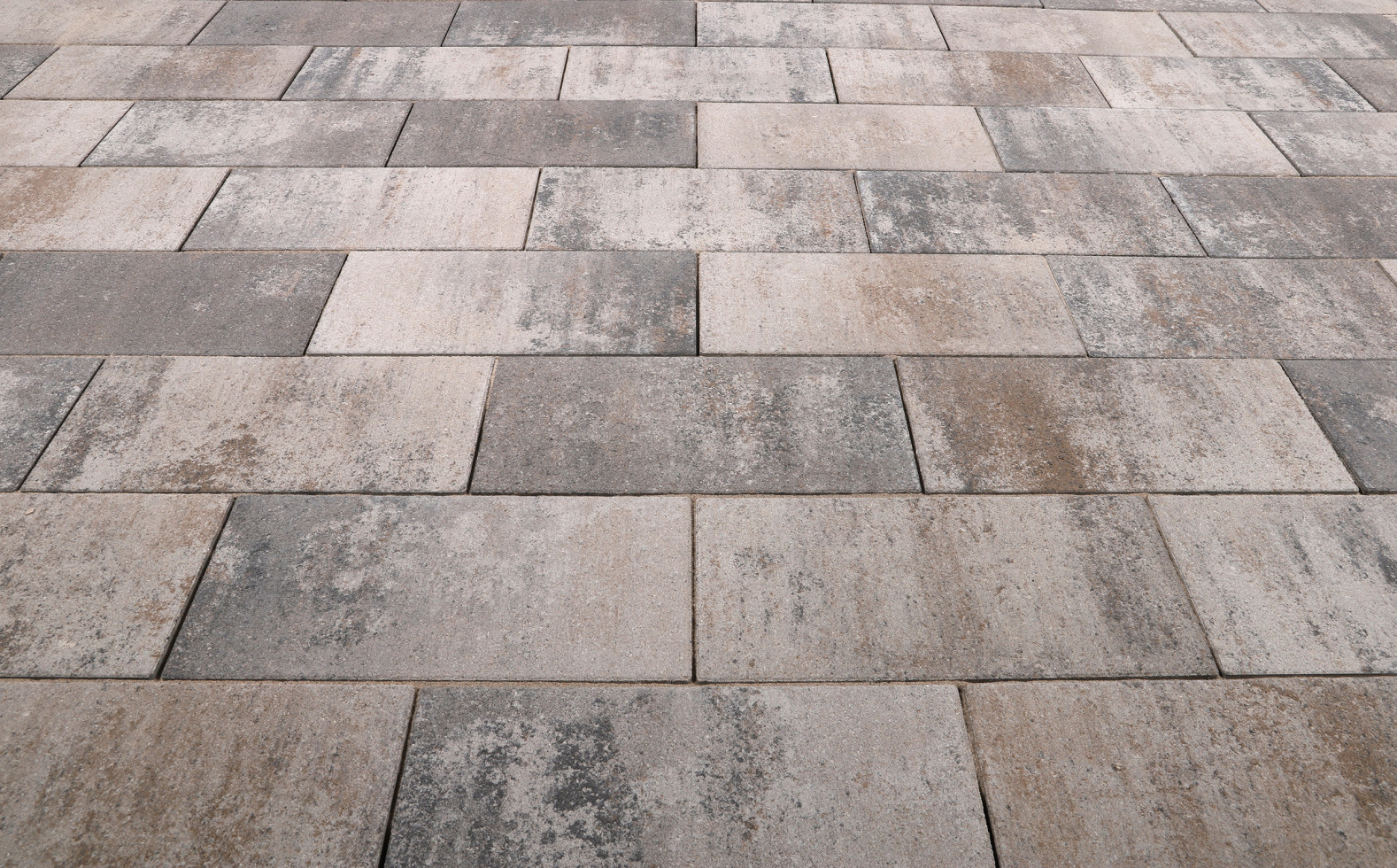 EHL Terrassenplatte Artano 40 x 20 x 4 cm beige kaufen | Globus Baumarkt
