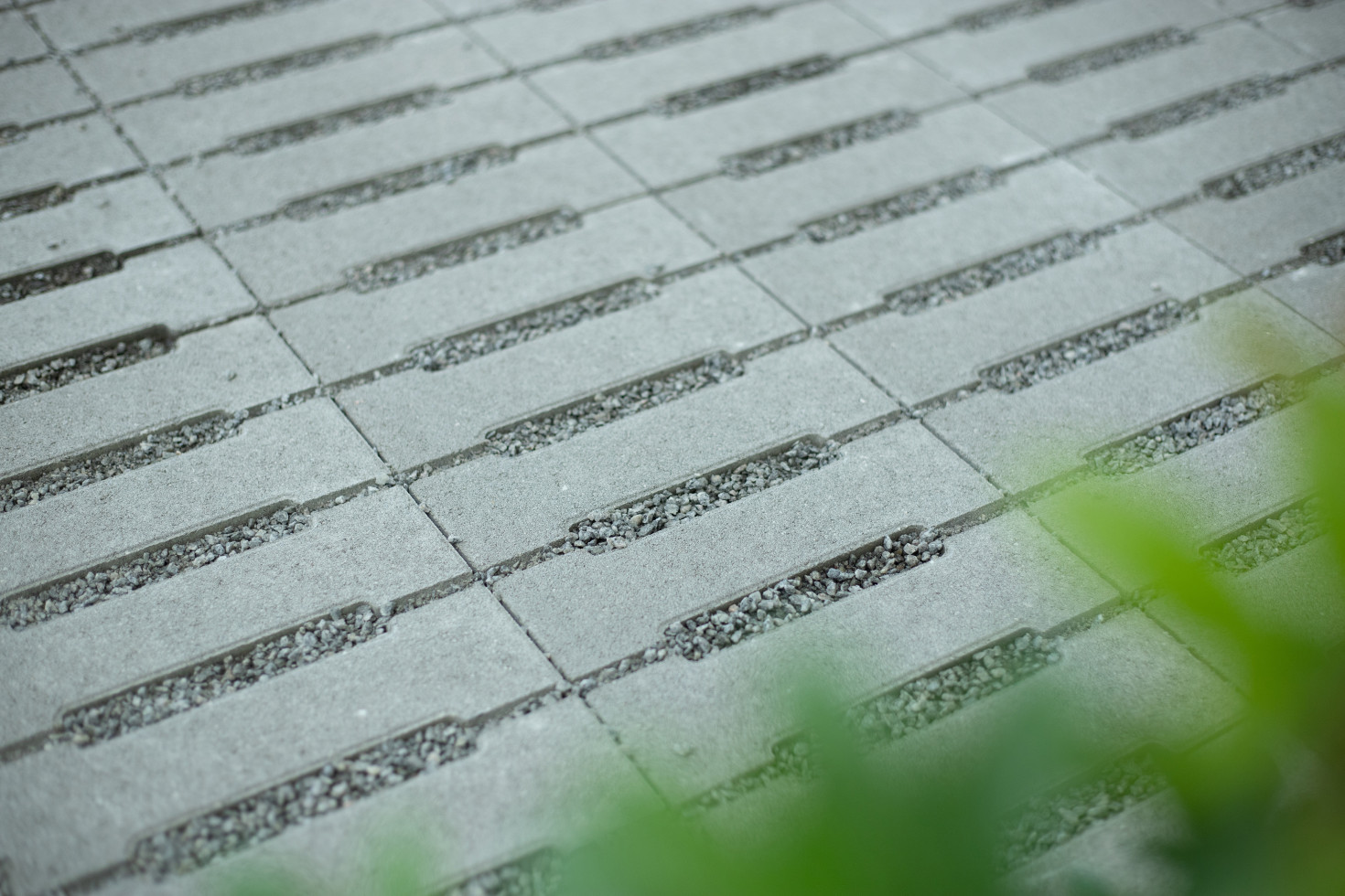 EHL Rasenstein Modern 8 x 50 x 25 cm grau kaufen | Globus Baumarkt