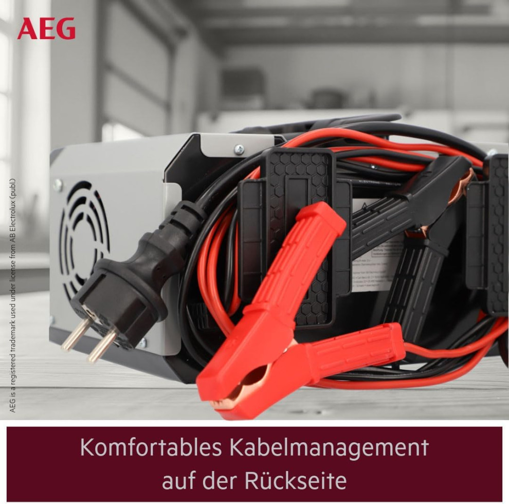 AEG Batterieladegerät CW10 6/12V kaufen | Globus Baumarkt