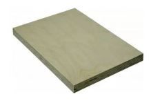 Multiplex-Platte Eukalyptus Birke 18 mm kaufen | Globus Baumarkt