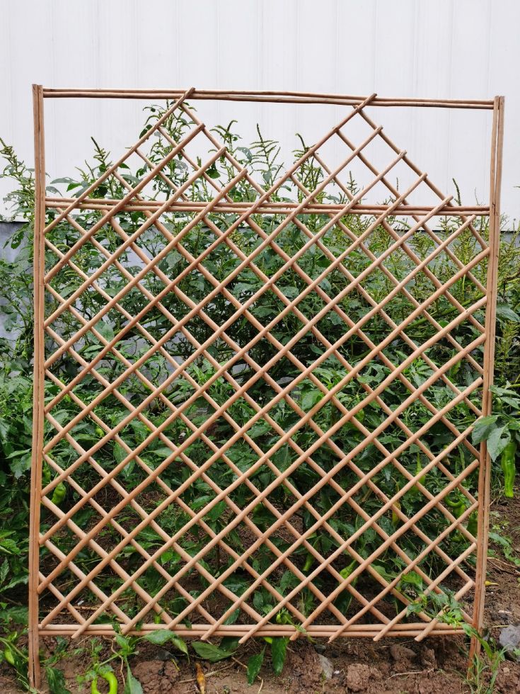 Rankgitter 117 x 92 cm kaufen | Globus Baumarkt