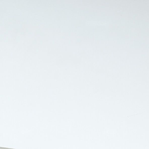 Gutta Polystyrolplatte glatt 50 x 100 cm 5 mm klar kaufen | Globus Baumarkt