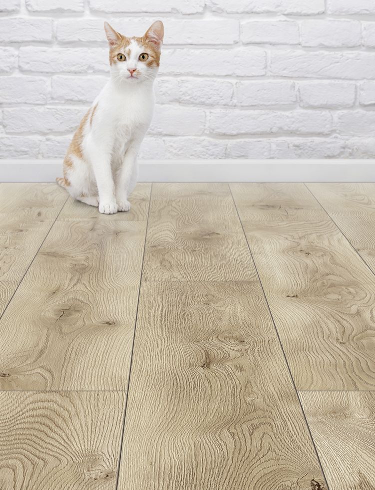 Classen Laminat Arteo 10 Aquaprotect XL Fiordland Oak kaufen | Globus ...