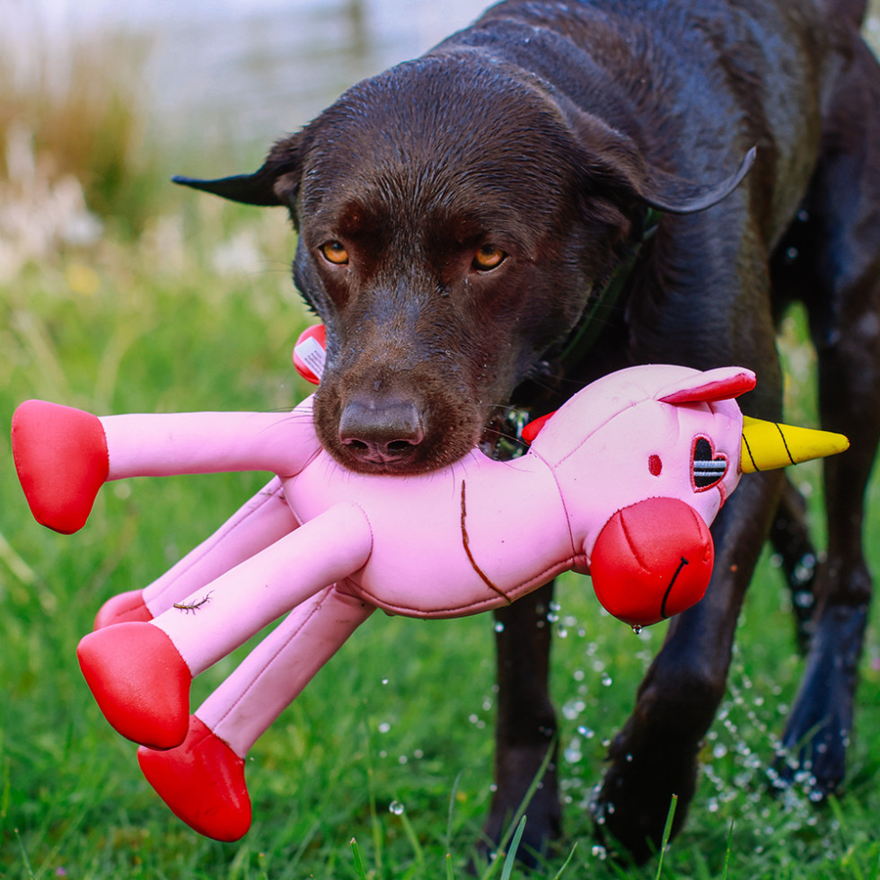 Nobby Wasserspielzeug Hund Einhorn Floating 39,5 cm rosa kaufen ...