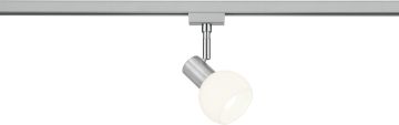 Trio Leuchten Spot Antibes DUOline E14, nickel matt / Glas weiß kaufen ...