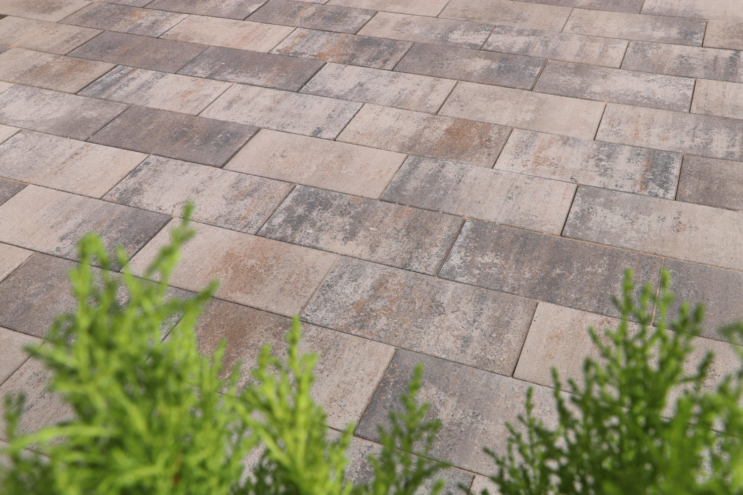 EHL Pflasterstein Veria 40 x 20 x 8 cm beige kaufen | Globus Baumarkt