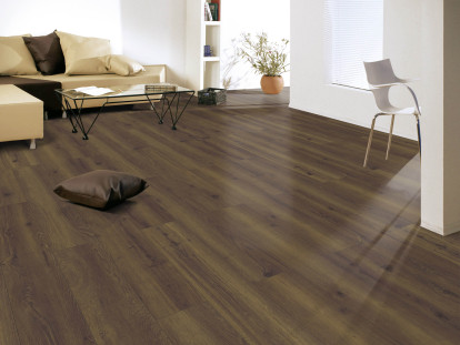 Classen Laminat Edition 7 Eiche dunkel braun kaufen | Globus Baumarkt
