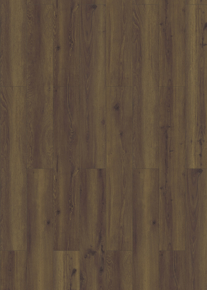 Classen Laminat Edition 7 Eiche dunkel braun kaufen | Globus Baumarkt