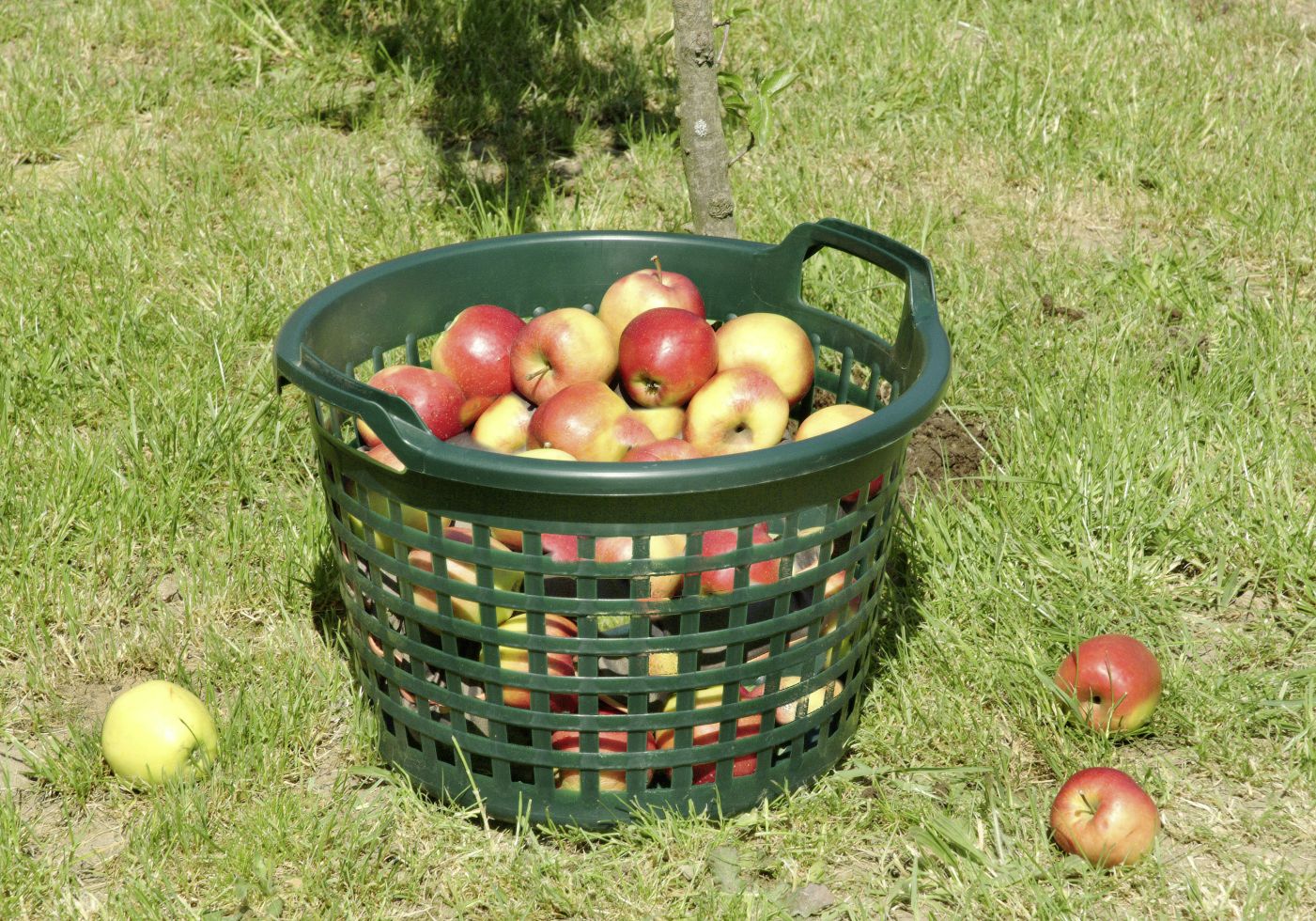 Floraworld Gartenkorb 22 l kaufen | Globus Baumarkt