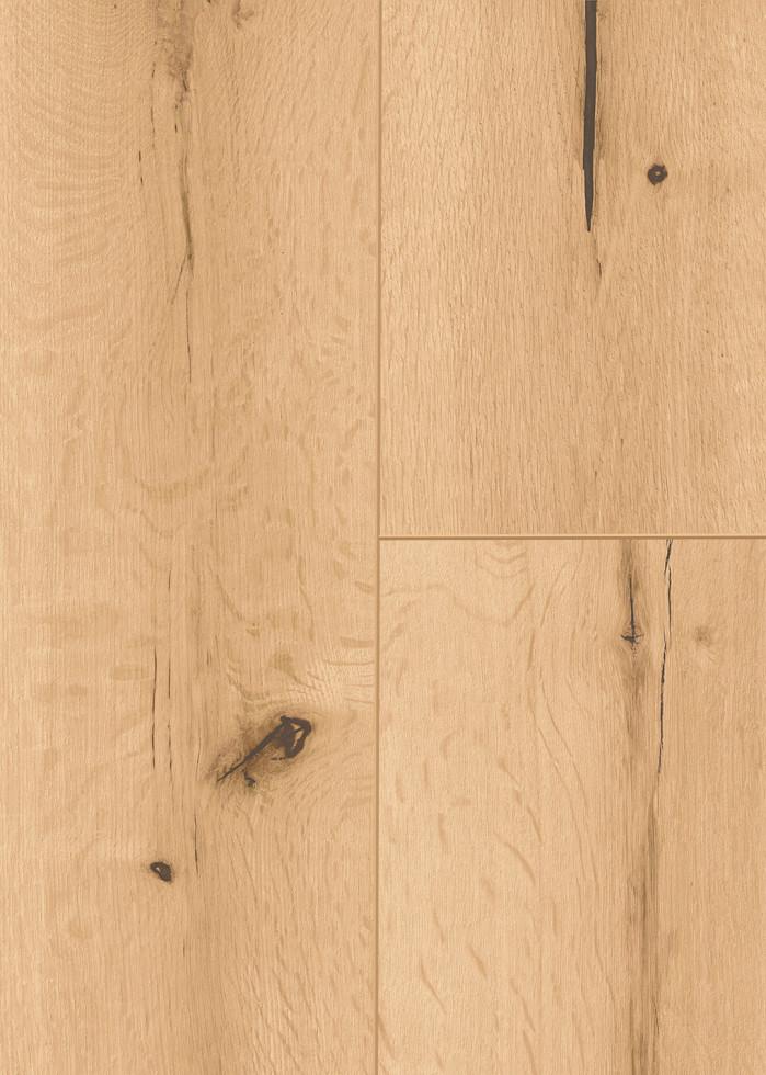 Classen Laminat edition 7+2 mit Trittschalldämmung Eiche Burnell kaufen ...