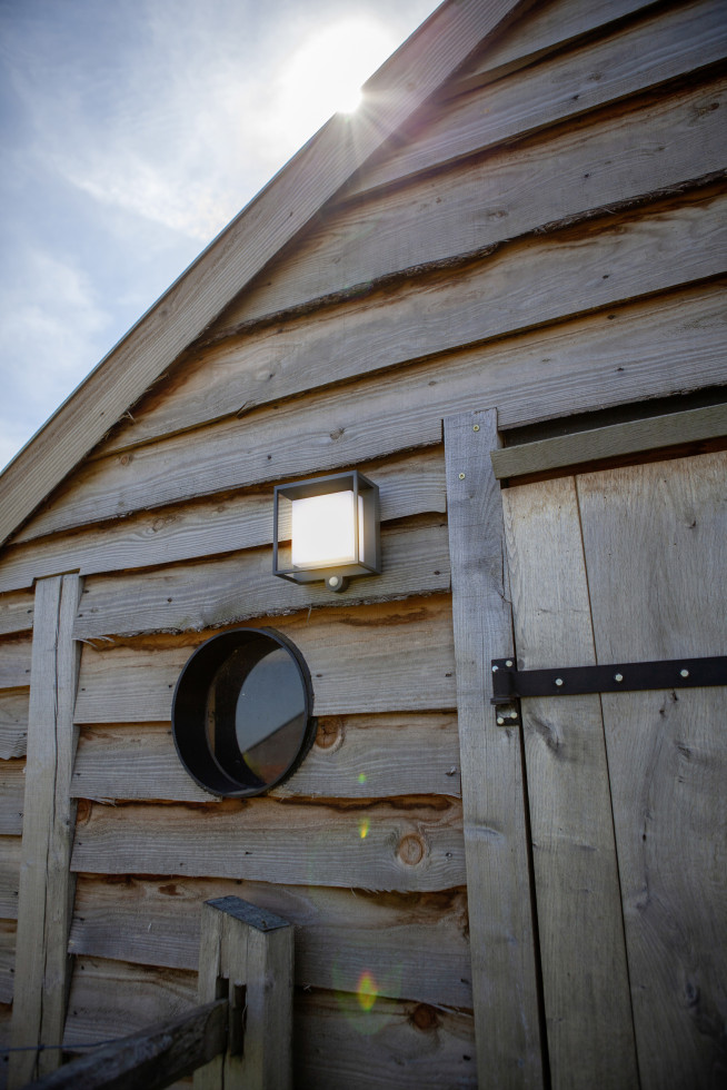 Lutec LED Außenleuchte Solar Curtis 3 W 19 x 16,5 cm Bewegungsmelder ...