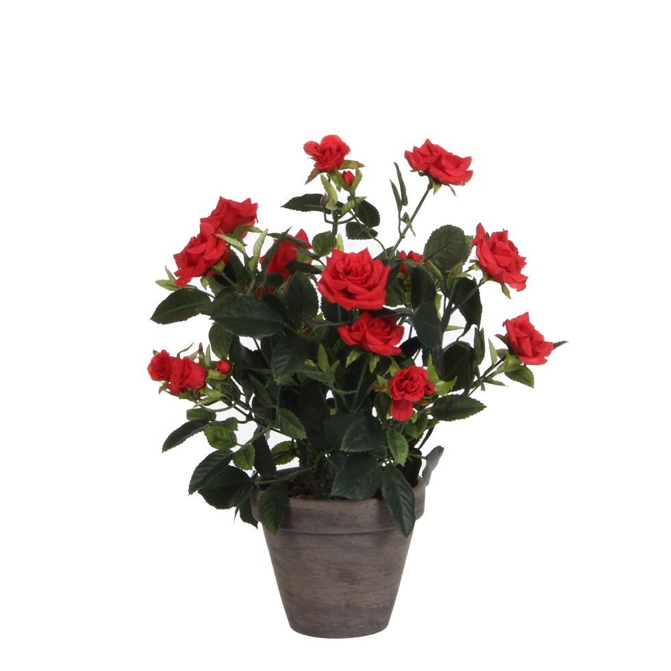 Mica künstlicher Rosenstrauch rot im Blumentopf 33 x 25 cm kaufen ...